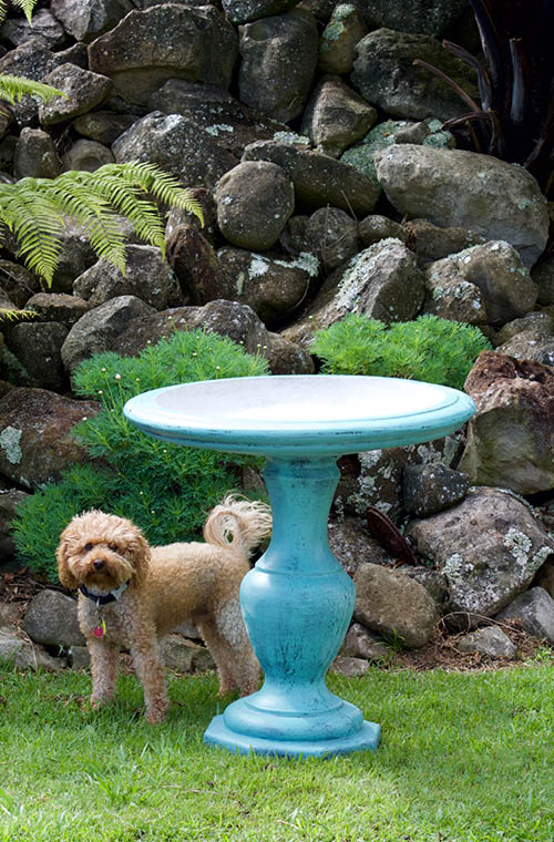 Faraway Garden Brontë Bird Bath - Faraway Garden